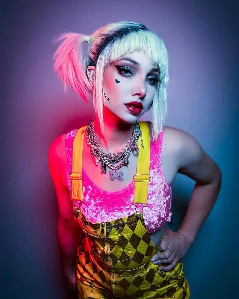 29 Harley Quinn Makeup Ideas: Easy and Creative Looks for Halloween