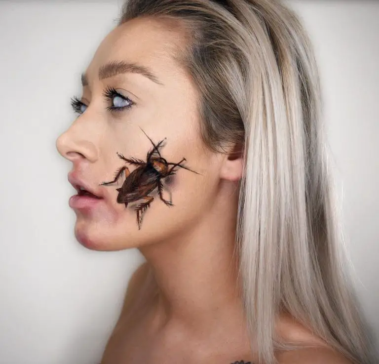 27 Death Makeup Ideas: Trendy, Easy Halloween Looks for Women and More